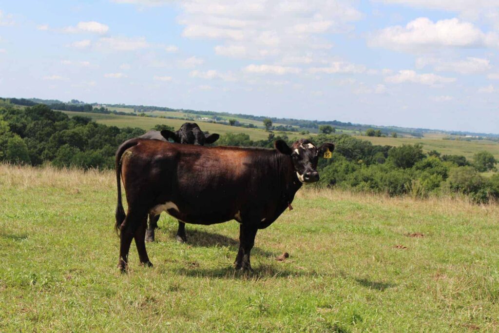 Force Premier - Furst-McNess Company