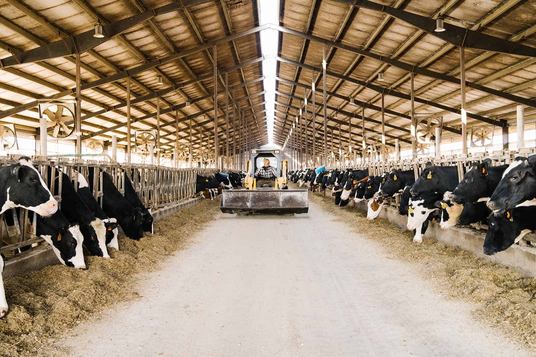 Dairy Premixes - Furst-McNess Company