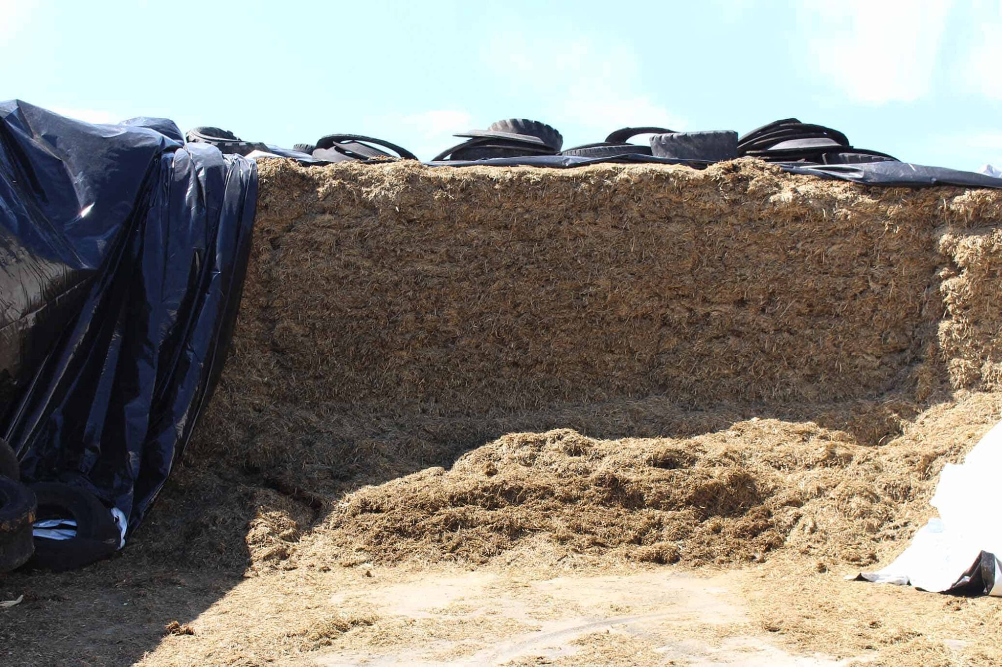 Microsile - Furst-McNess Company